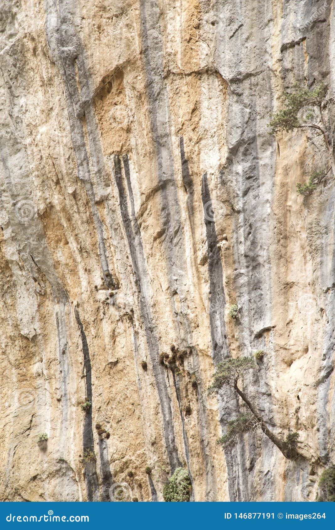 Cliff texture stock image. Image of beige, grunge, rough - 146877191