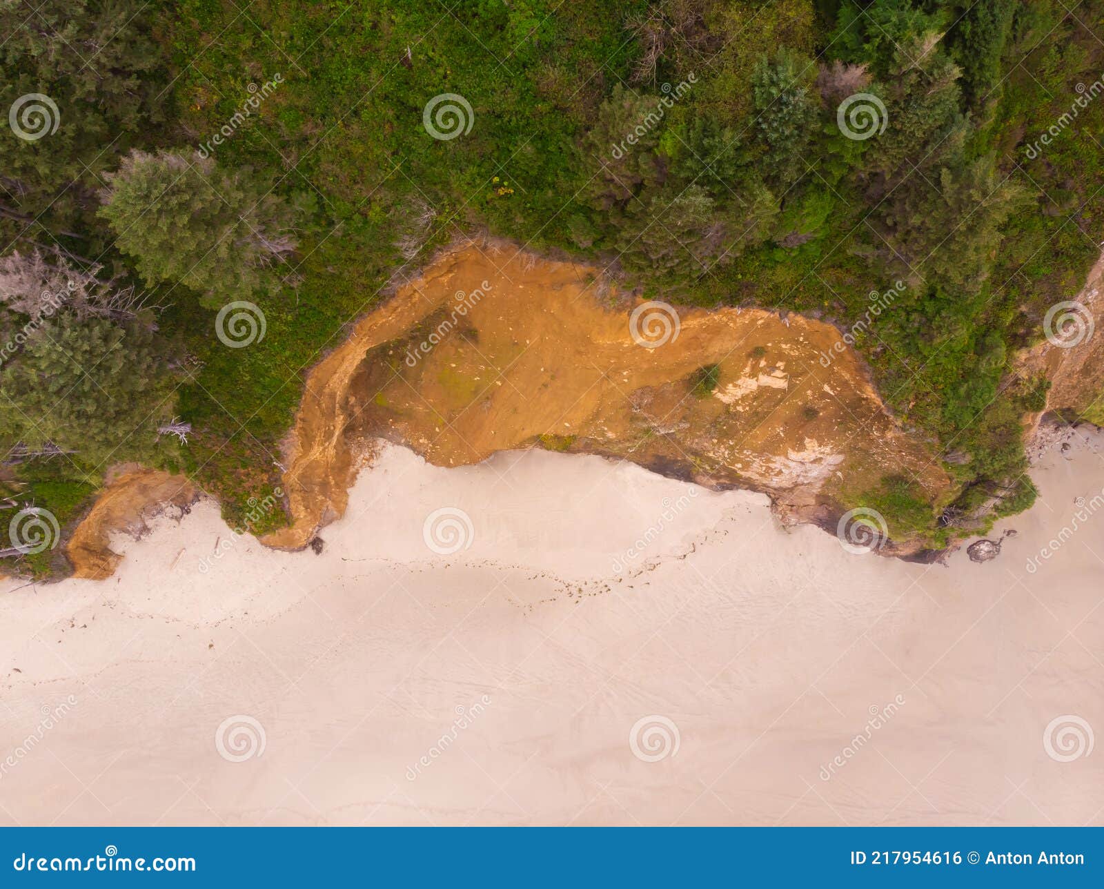 Cliff with Sand and Forest. State of Oregon USA. Beach Top View Stock ...