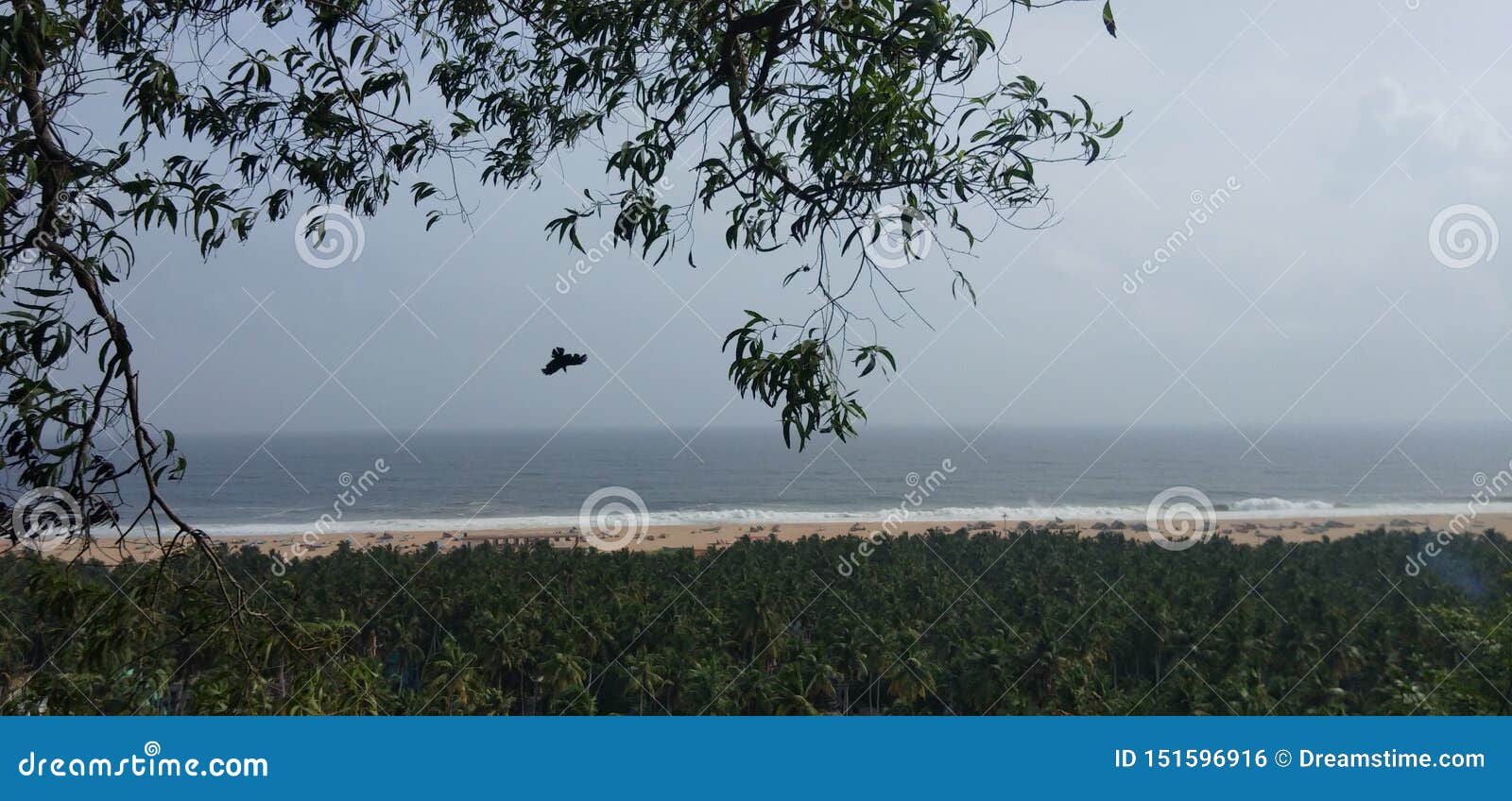 Cliff Sea Waves Sand Eagle Trivandrum Stock Photo - Image of cliff ...