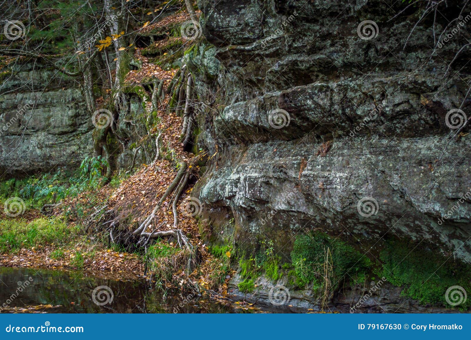 Cliff Side Creek stock photo. Image of foliage, creek - 79167630