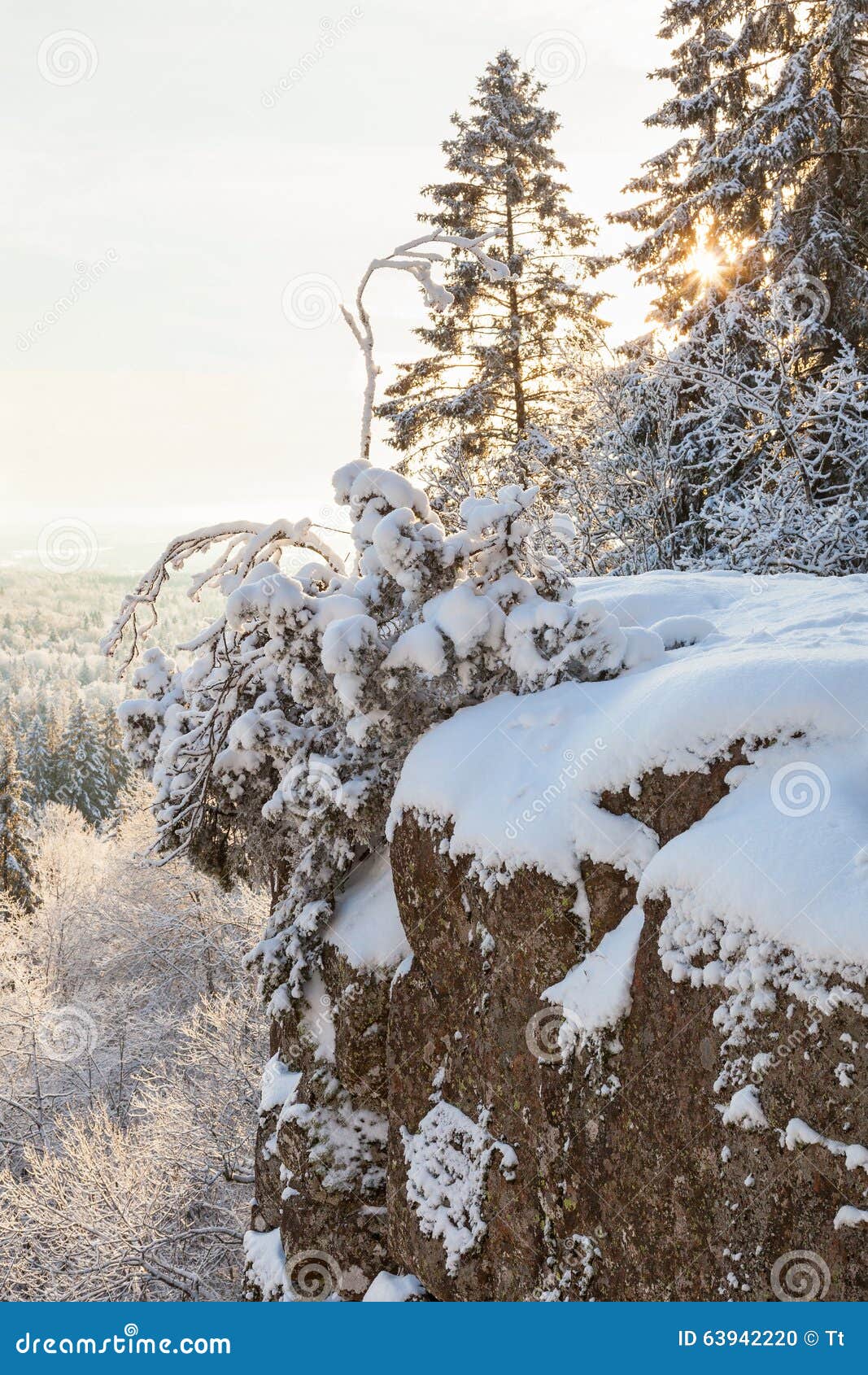 Cliff with Snow in the Landscape Stock Photo - Image of conifer ...