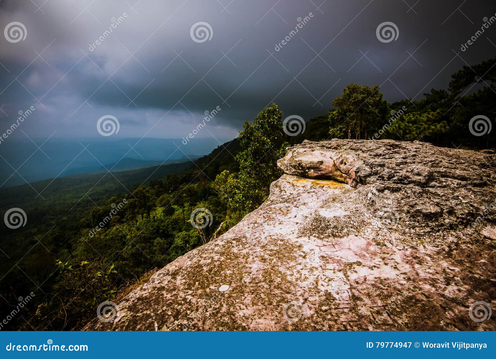 Cliff the storm stock image. Image of asia, pinoideae - 79774947
