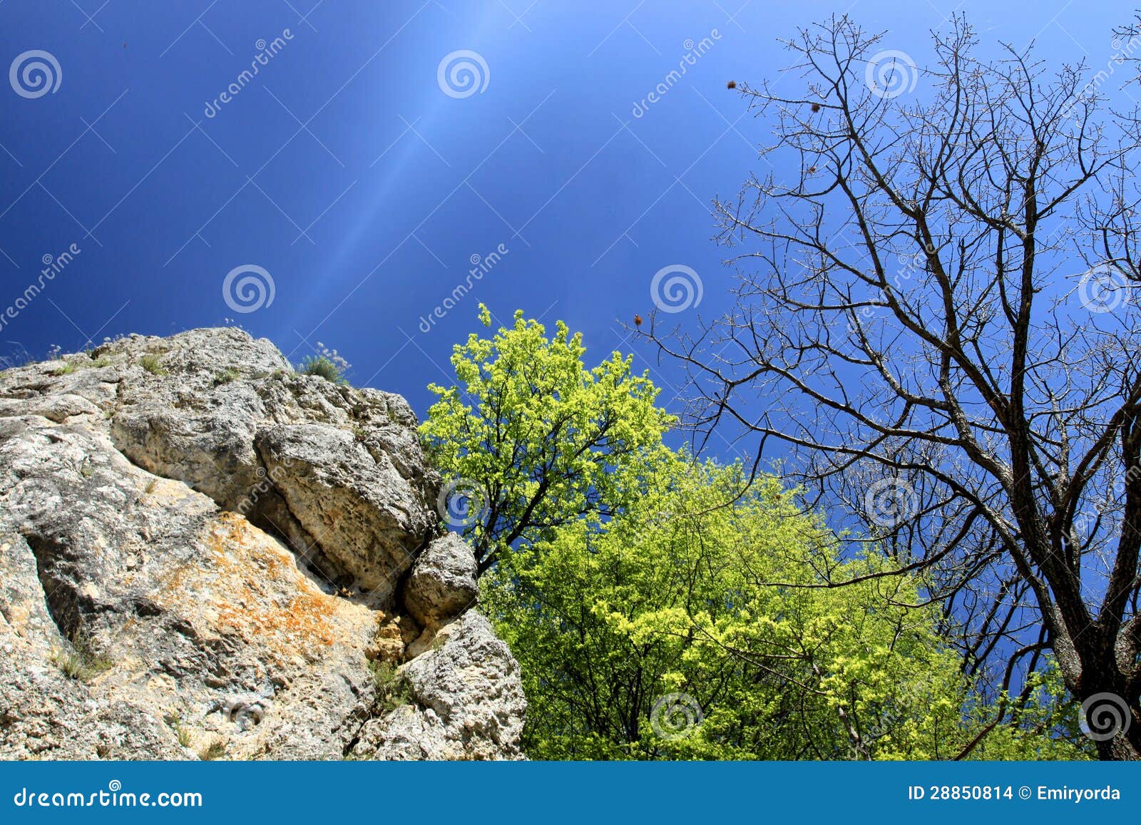 Cliff-tree-undergrowth-sky stock photo. Image of horizontal - 28850814