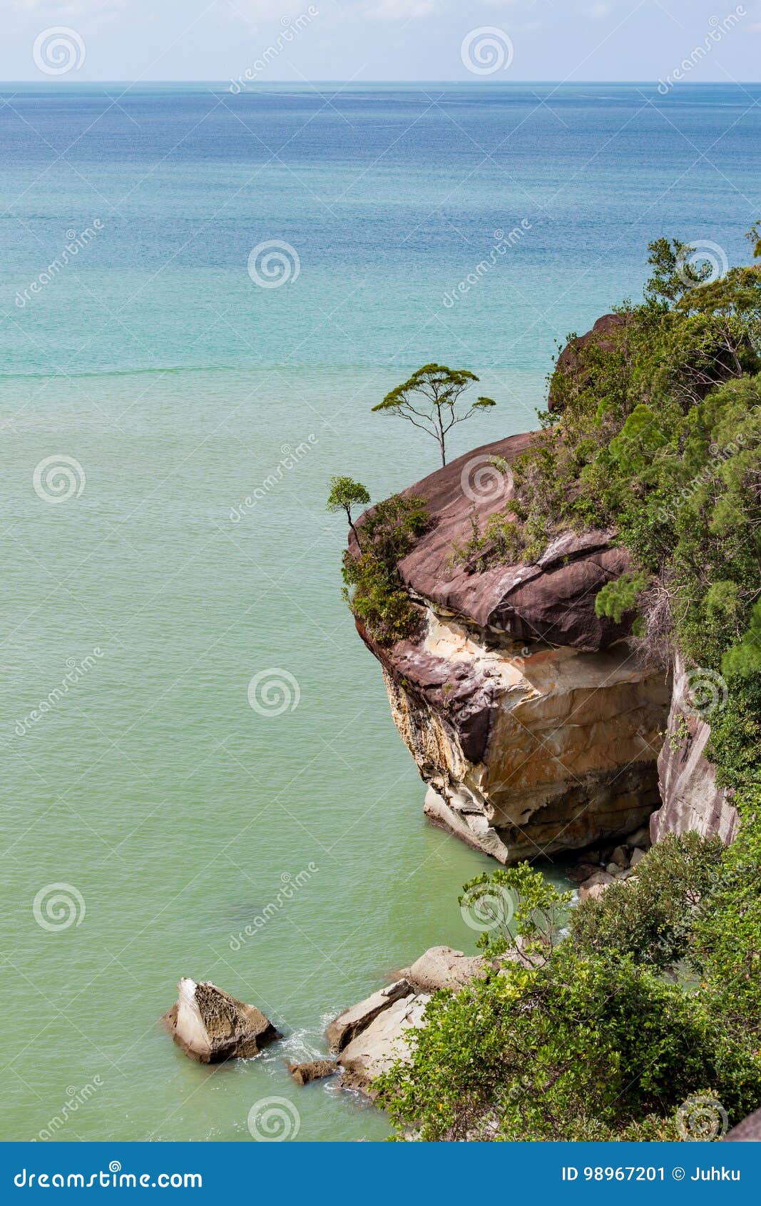 Cliff and Trees at Ocean Shore Stock Image - Image of water, angle ...