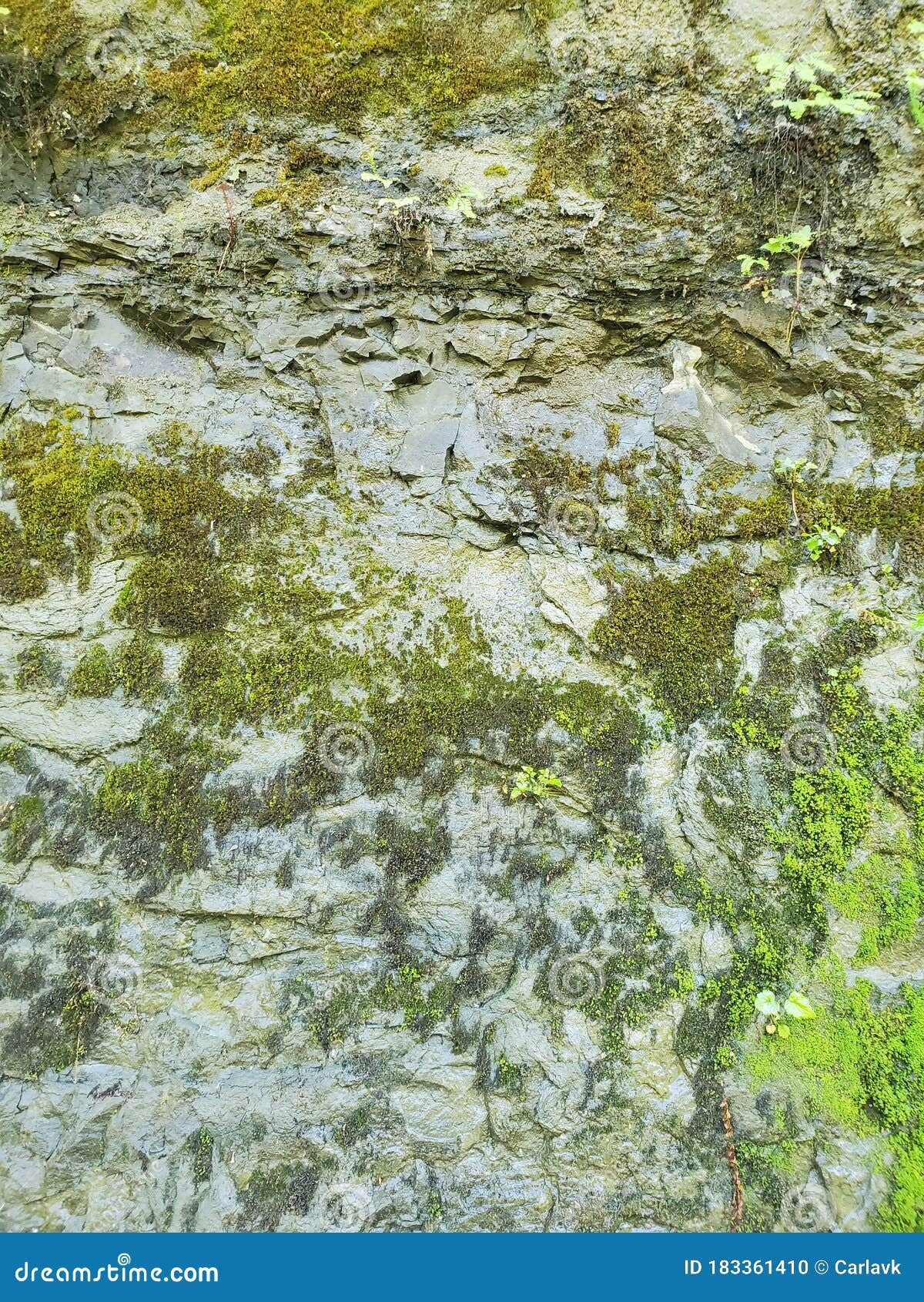 Cliff Wall Covered in Moss Texture Background Stock Photo - Image of ...