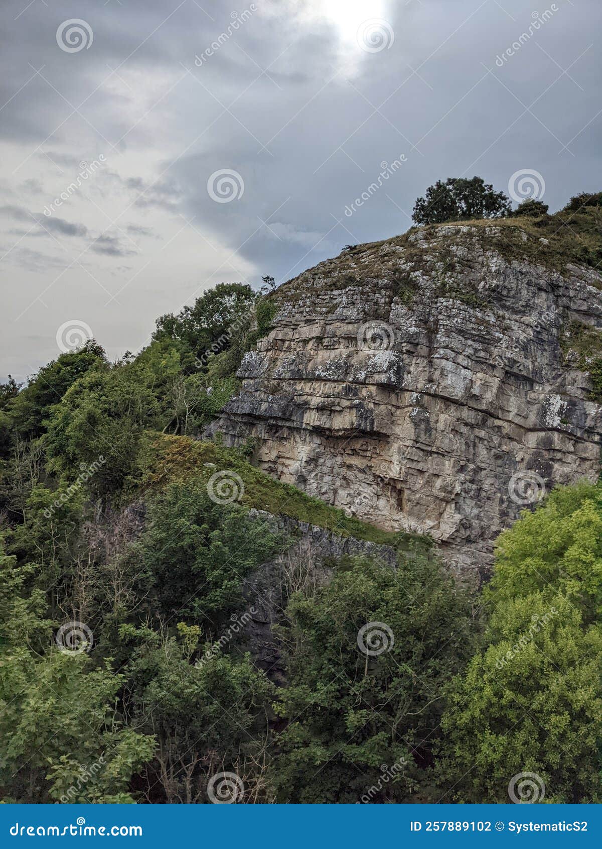 Cliff Wall Trees Natural Hill Stock Photo - Image of outdoor, pattern ...