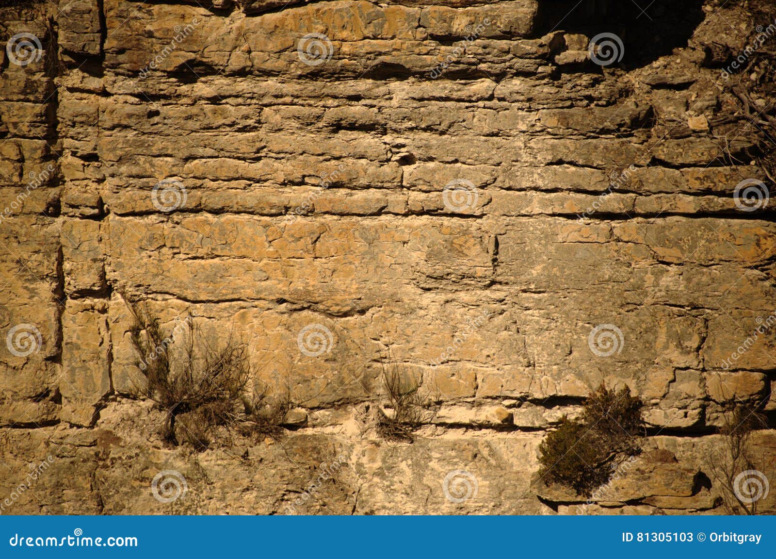 Cliff wall stock image. Image of soil, backgrount, yellow - 81305103