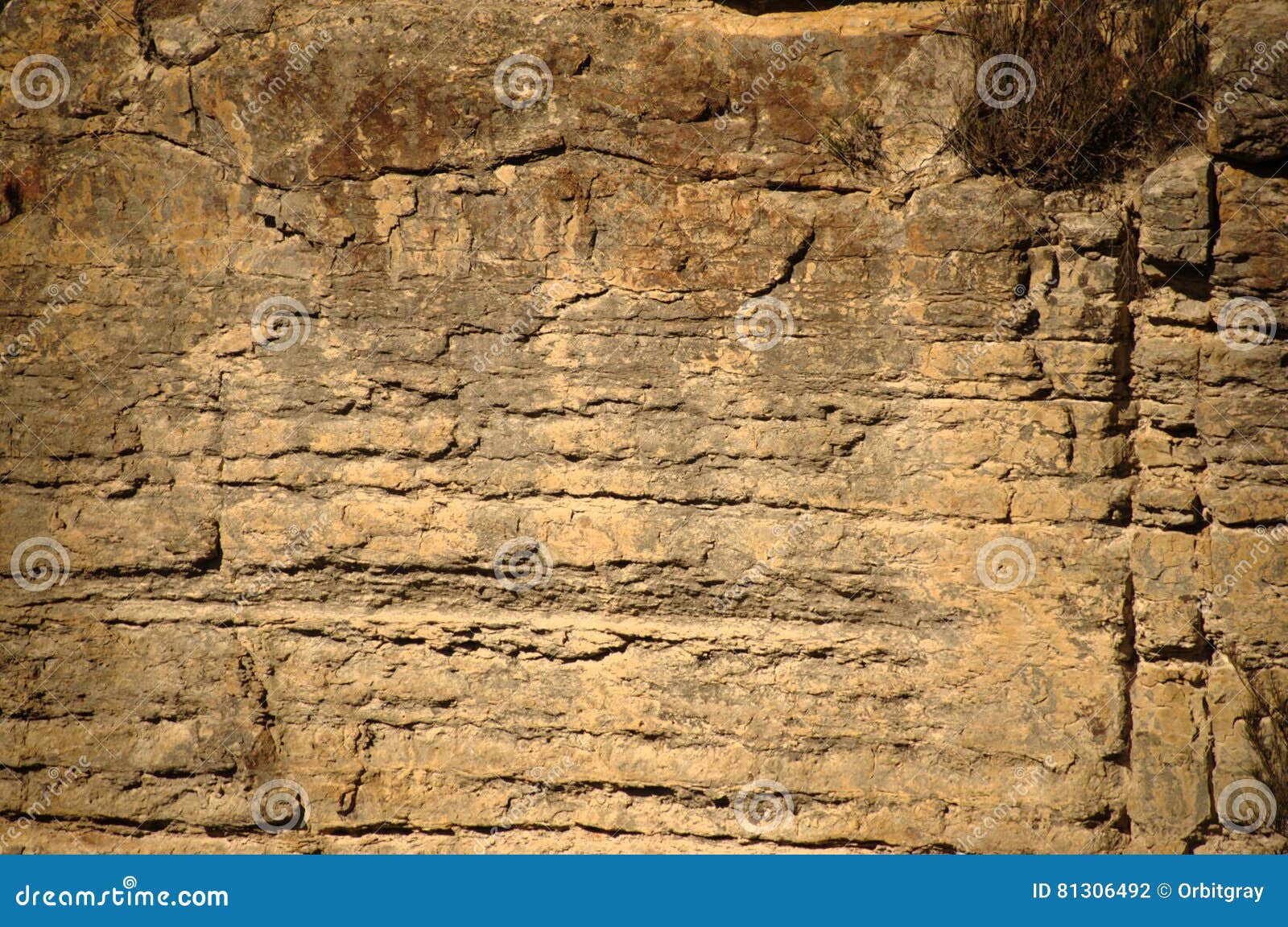Cliff wall stock photo. Image of rock, outcrop, backgrount - 81306492