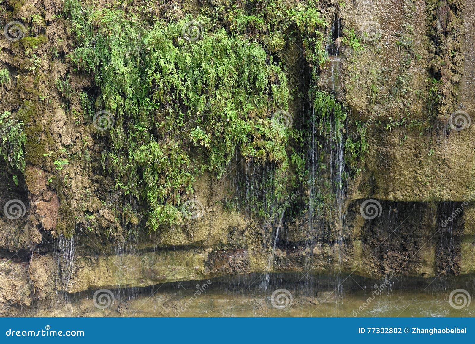 Cliff waterfall stock photo. Image of water, grass, flow - 77302802
