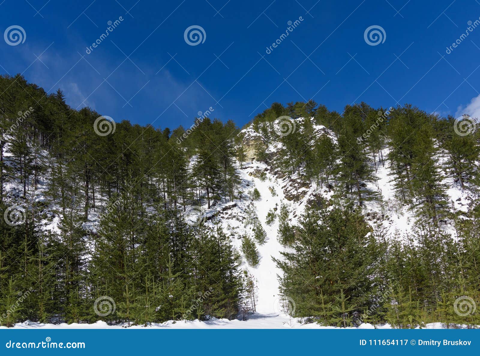 Cliff Winter Coniferous Tree Stock Image - Image of nature, cloud ...
