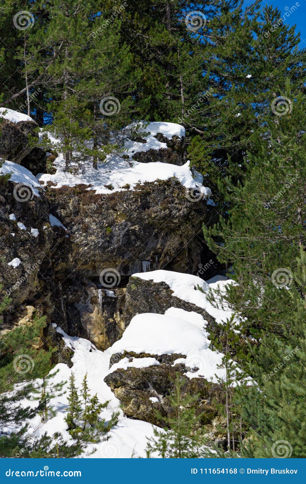 Cliff Winter Coniferous Tree Stock Photo - Image of road, snowfall ...