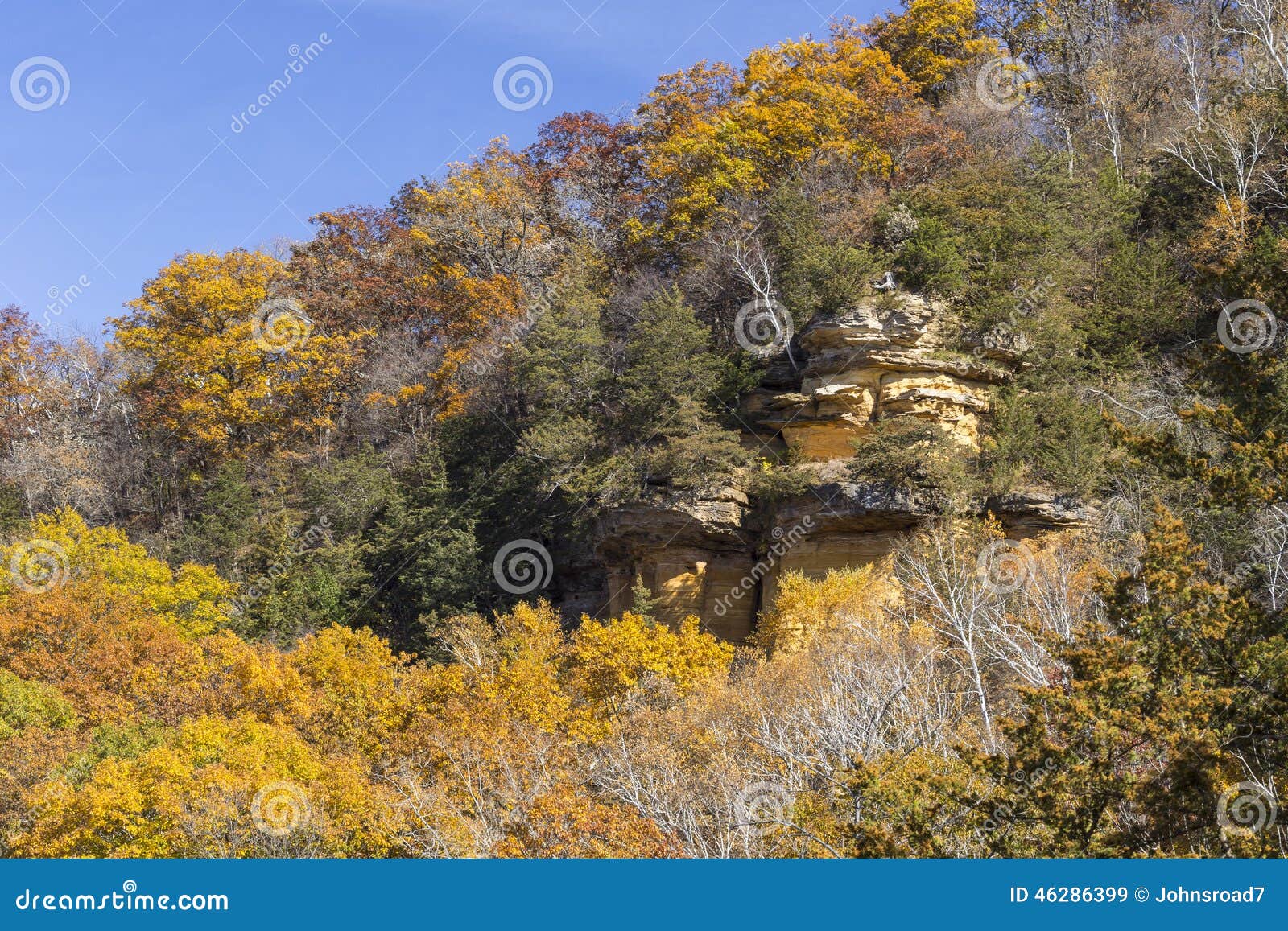 Cliff in Woods in Autumn stock image. Image of nature - 46286399
