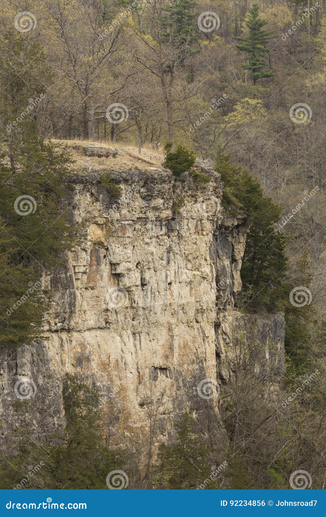Cliff in the Woods in Spring Stock Photo - Image of park, green: 92234856