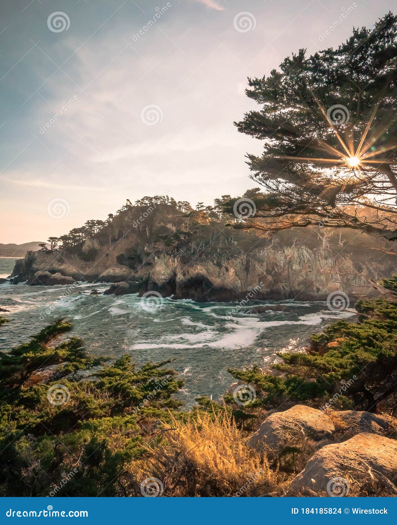 Cliffed Coast with the Sun Shining through a Tree Stock Photo - Image ...