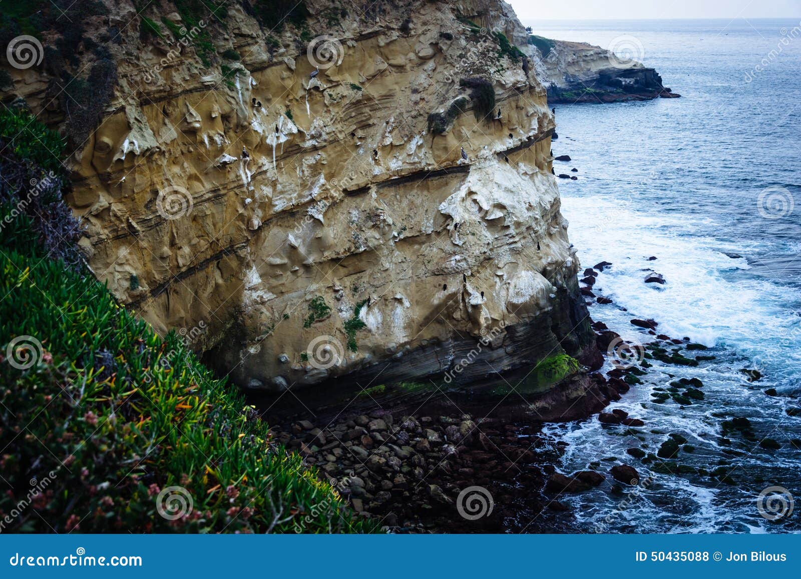 Cliffs Along the Pacific Ocean, in La Jolla, California. Stock Photo ...
