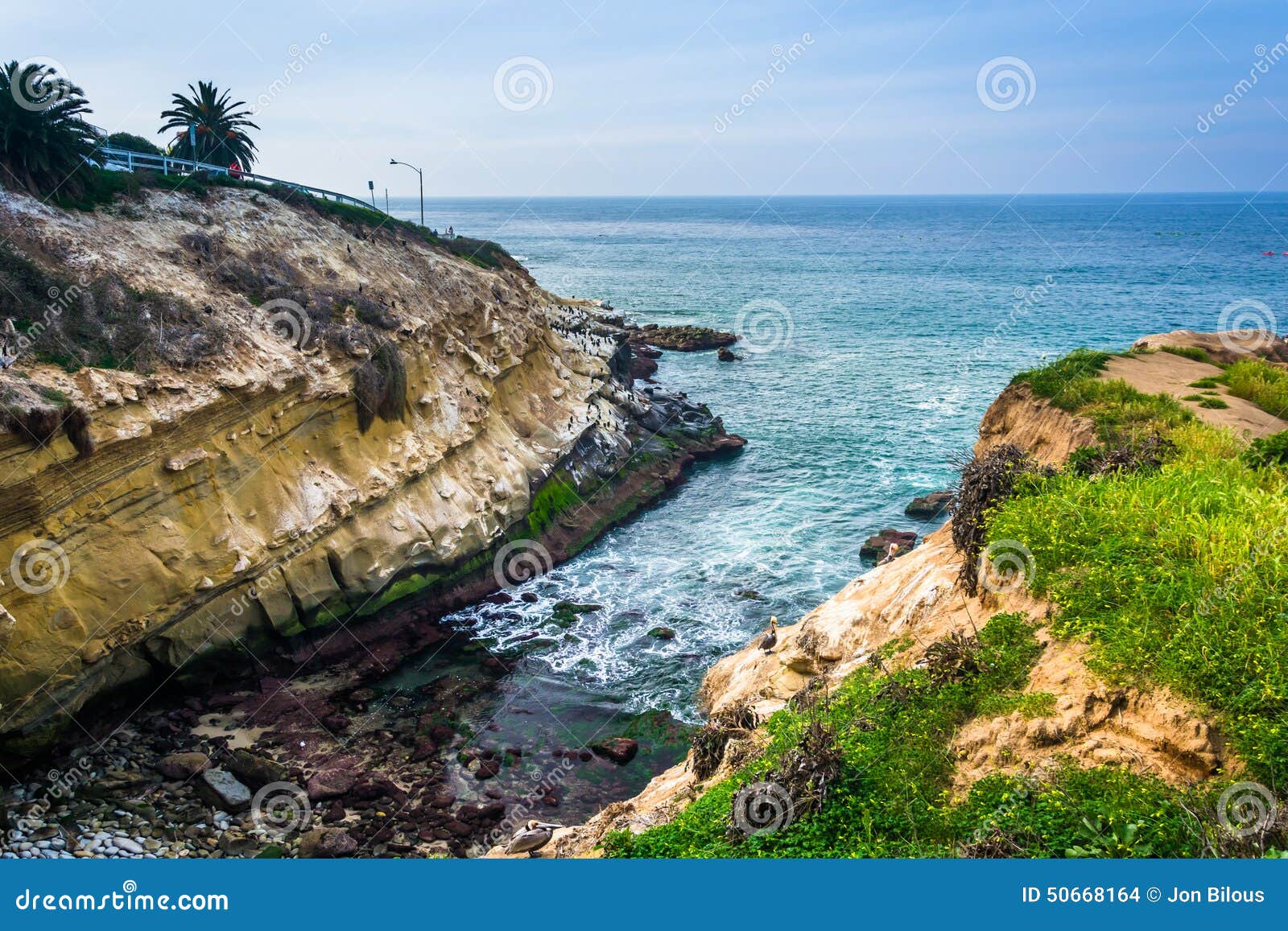 Cliffs Along the Pacific Ocean, in La Jolla Stock Photo - Image of ...