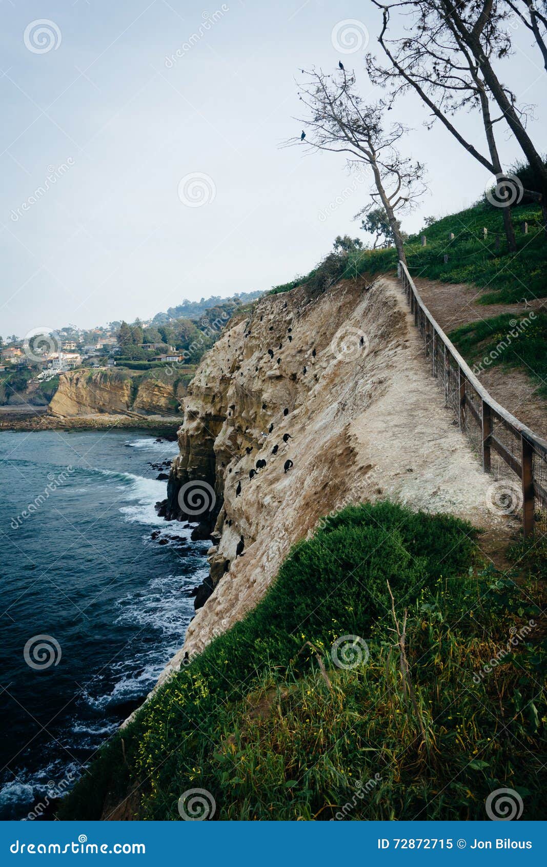 Cliffs Along the Pacific Ocean, in La Jolla, California. Stock Image ...