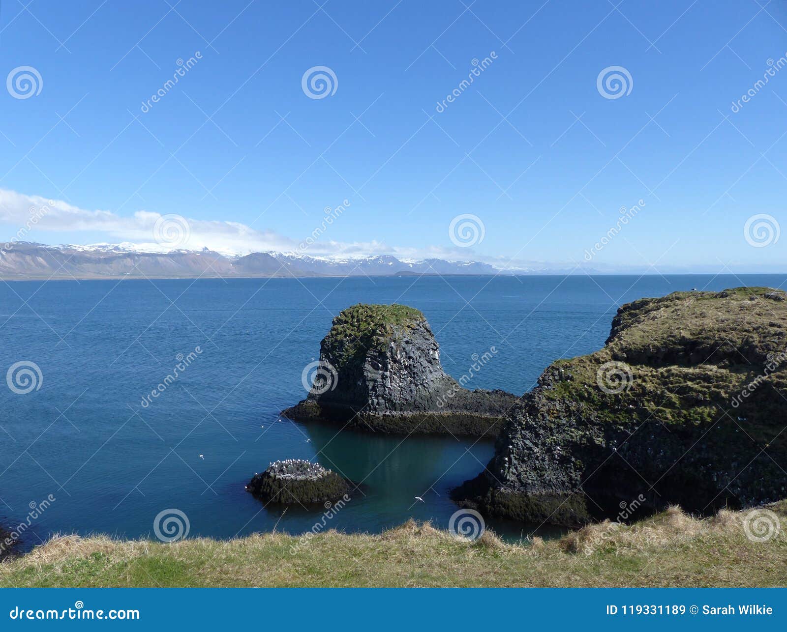 The Cliffs at Arnarstapi, Iceland Stock Image - Image of spring, cliffs ...