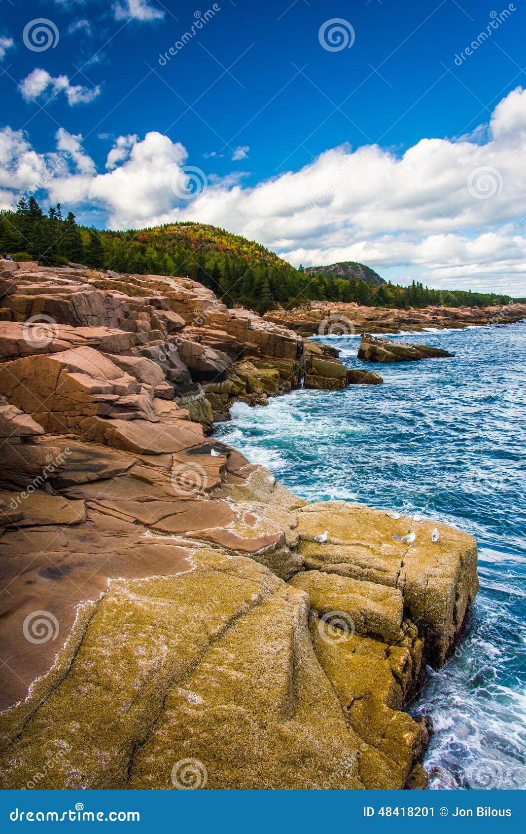 Cliffs and the Atlantic Ocean in Acadia National Park, Maine. Stock ...