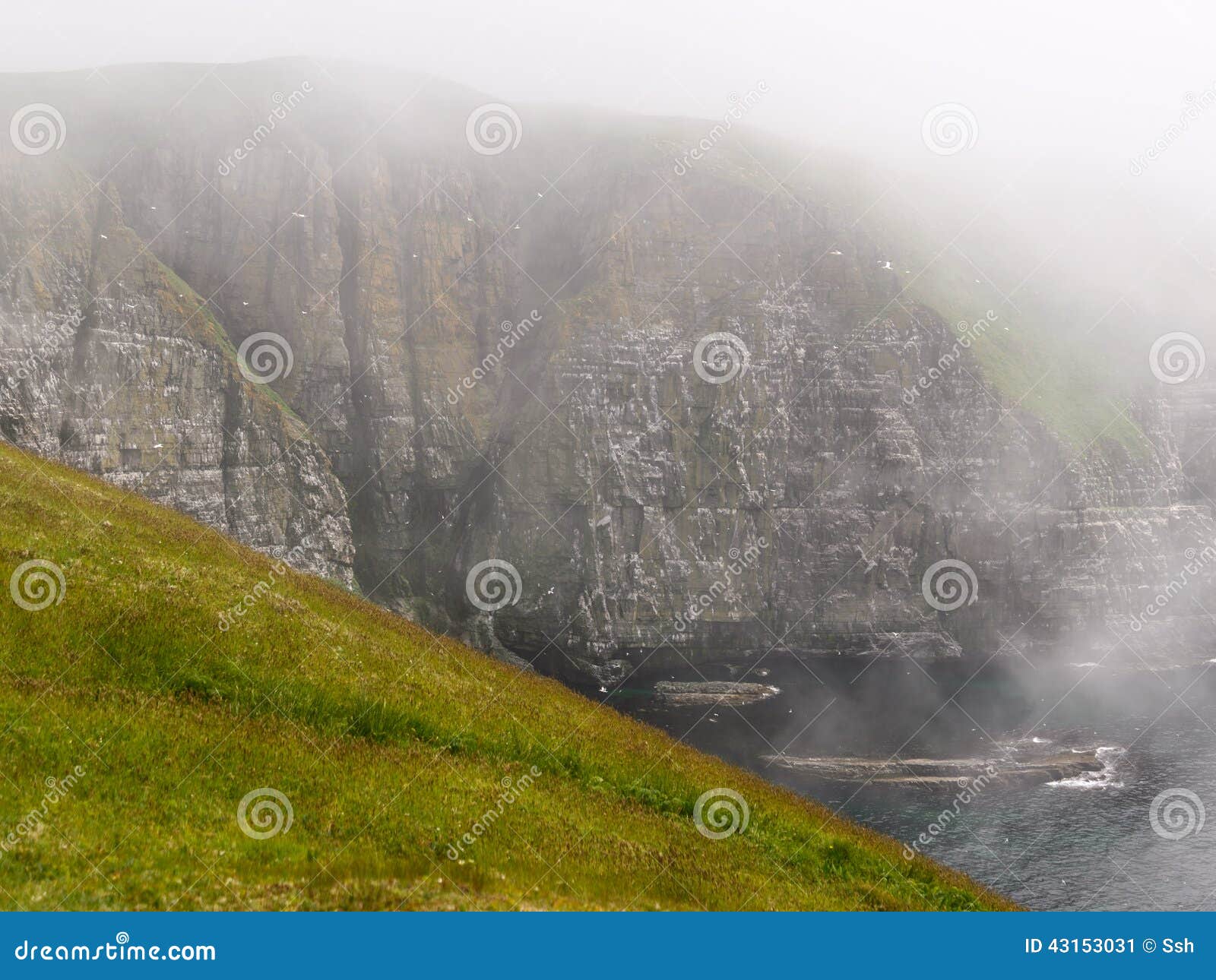 Cliffs of Cape St. Mary s stock image. Image of travel - 43153031