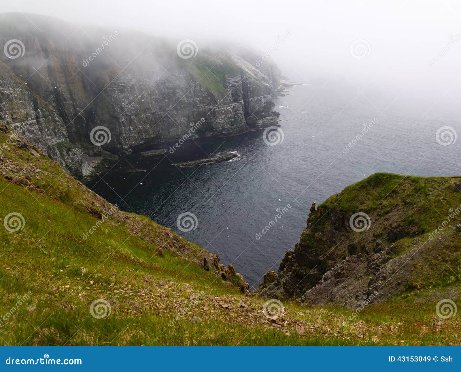 Cliffs of Cape St. Mary s stock image. Image of cliffs - 43153049