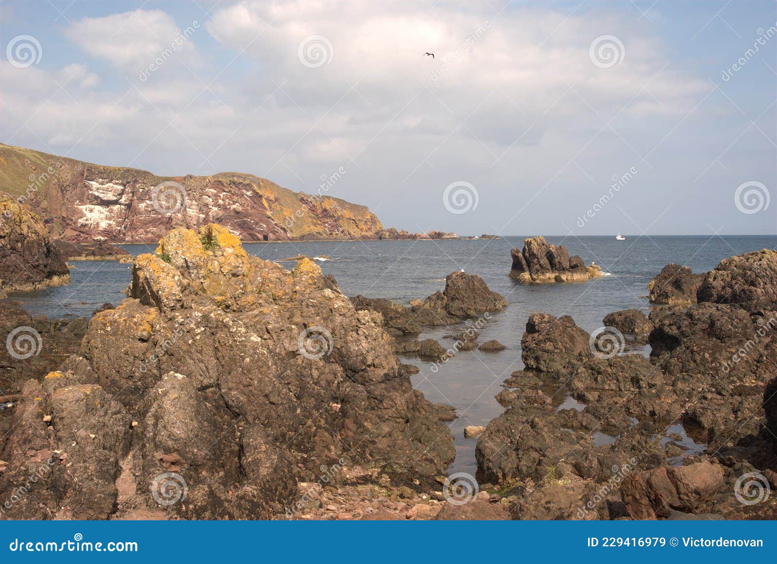Cliffs and Coastal Bay at St. Abbs Berwickshire Stock Image - Image of ...