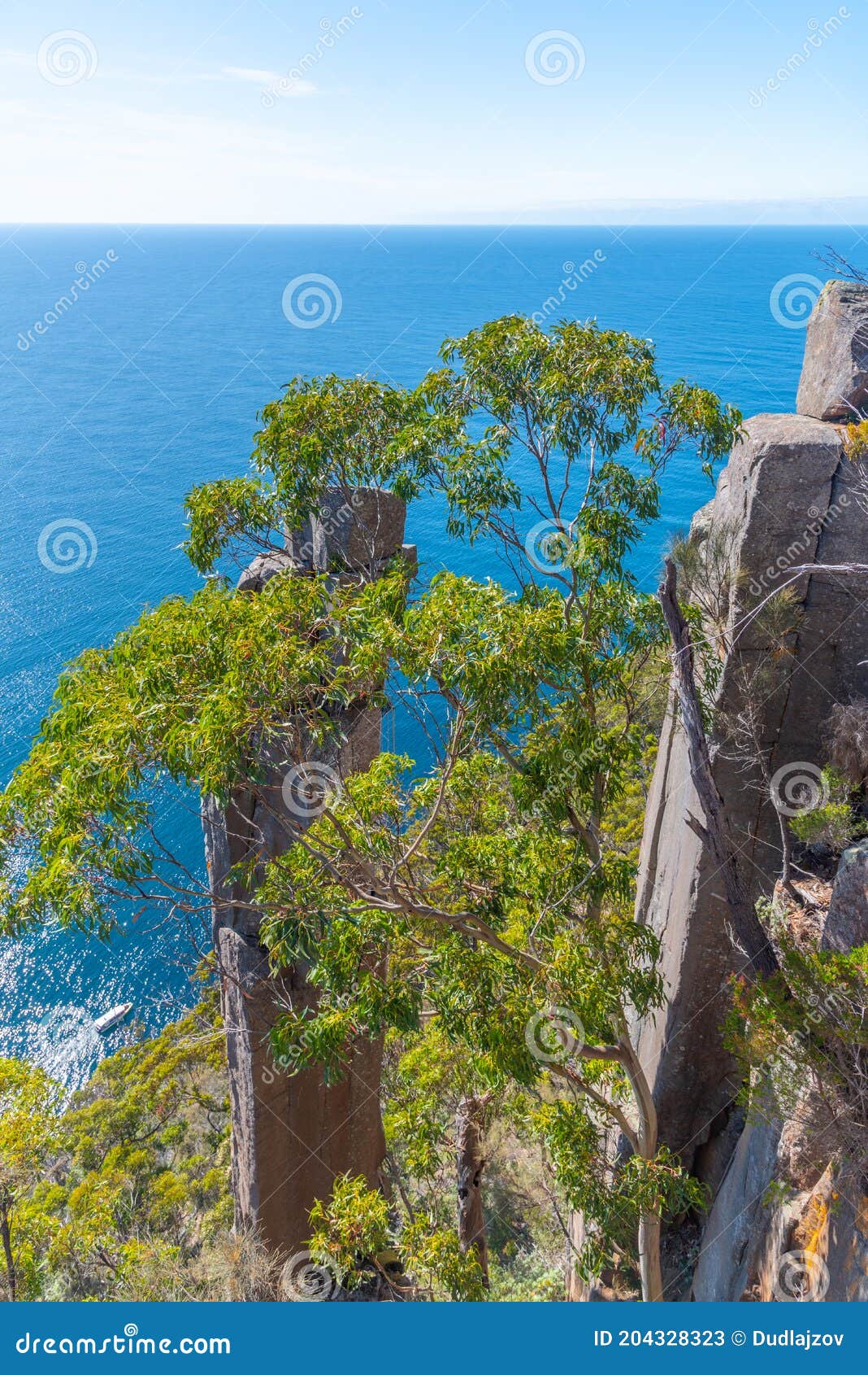 Cliffs of Fluted Cape at Bruny Island in Tasmania, Australia Stock ...