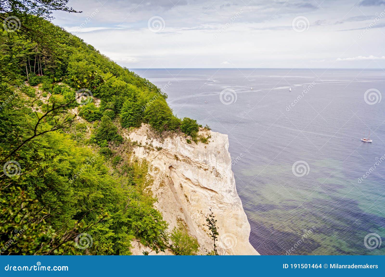 Cliffs with Forest Overlooking the Ocean in Mons Klint in Denmark ...