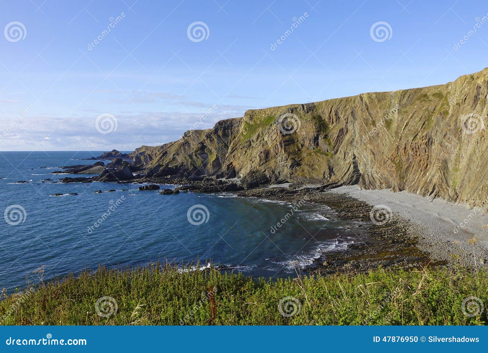 Cliffs at Hartland-quay Devon England UK Stock Photo - Image of light ...