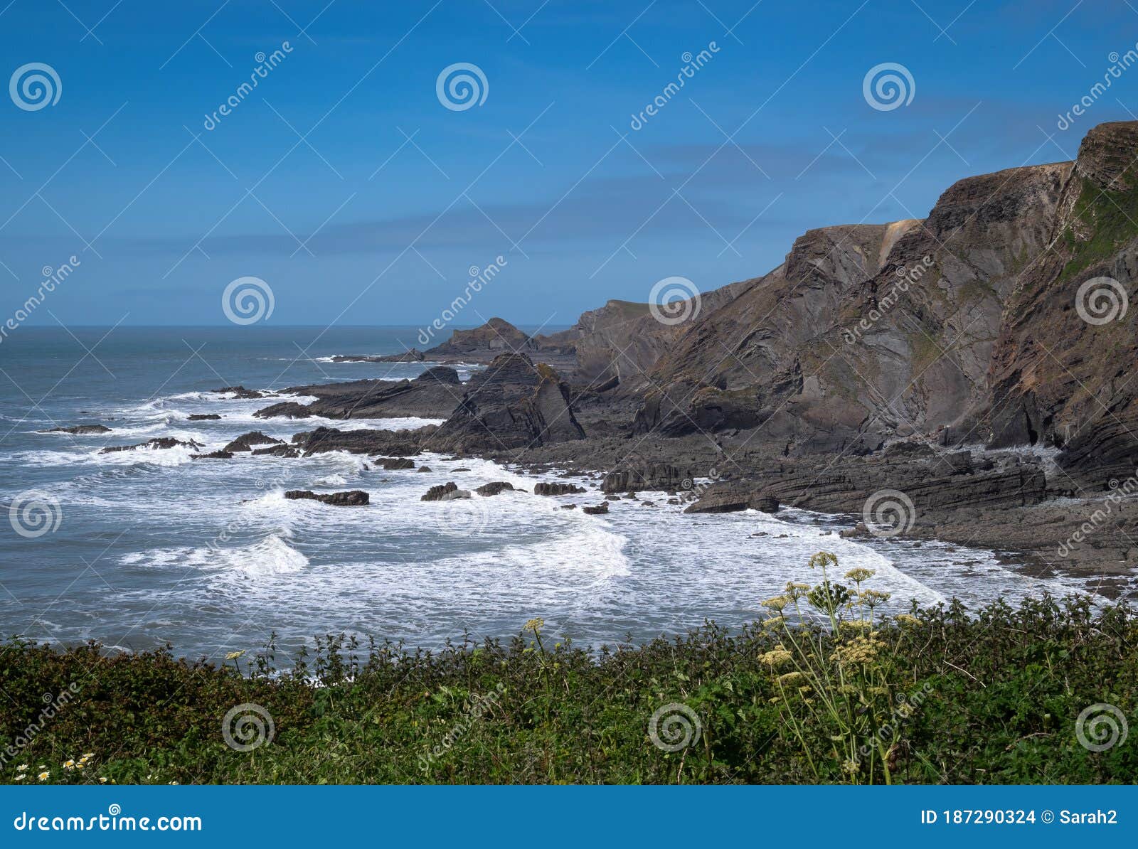 The Cliffs at Hartland Quay, North Devon. Rugged Coastline Editorial ...