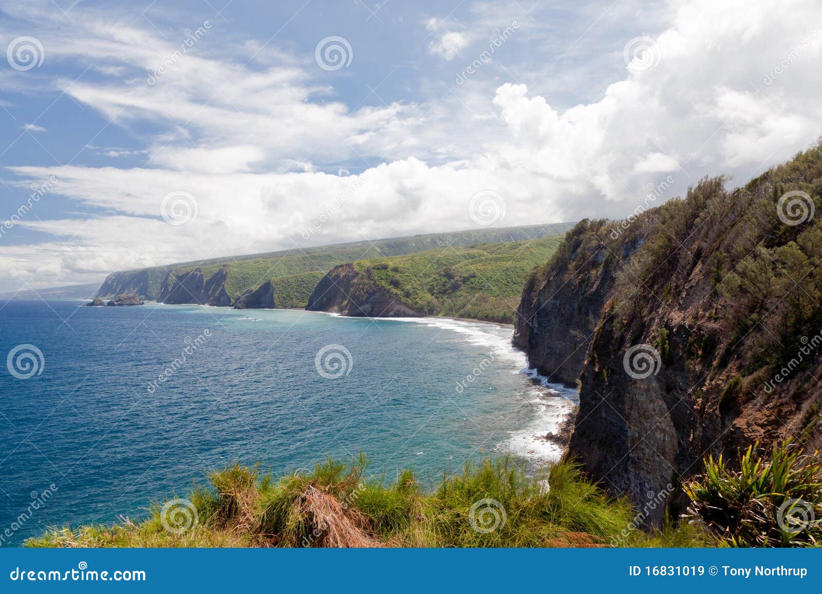 Cliffs of Hawaii stock image. Image of vacation, forest - 16831019