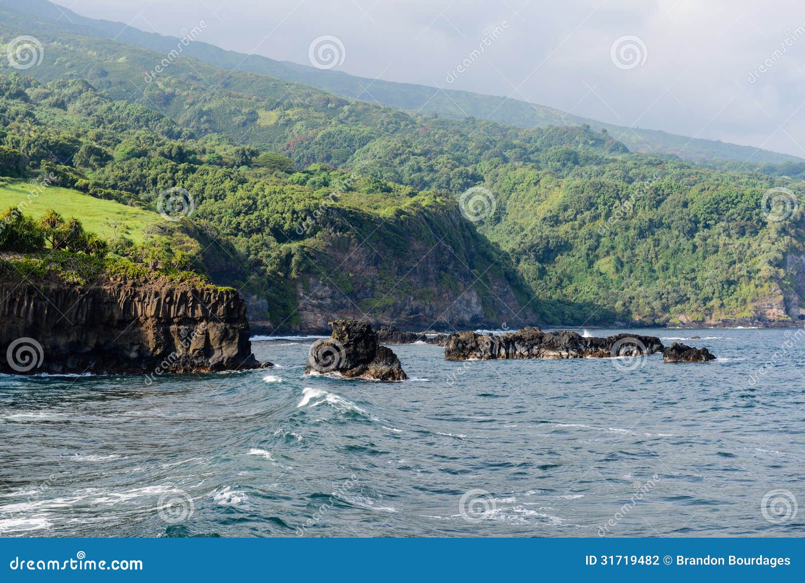 Cliffs in Maui Hawaii stock photo. Image of rainforest - 31719482