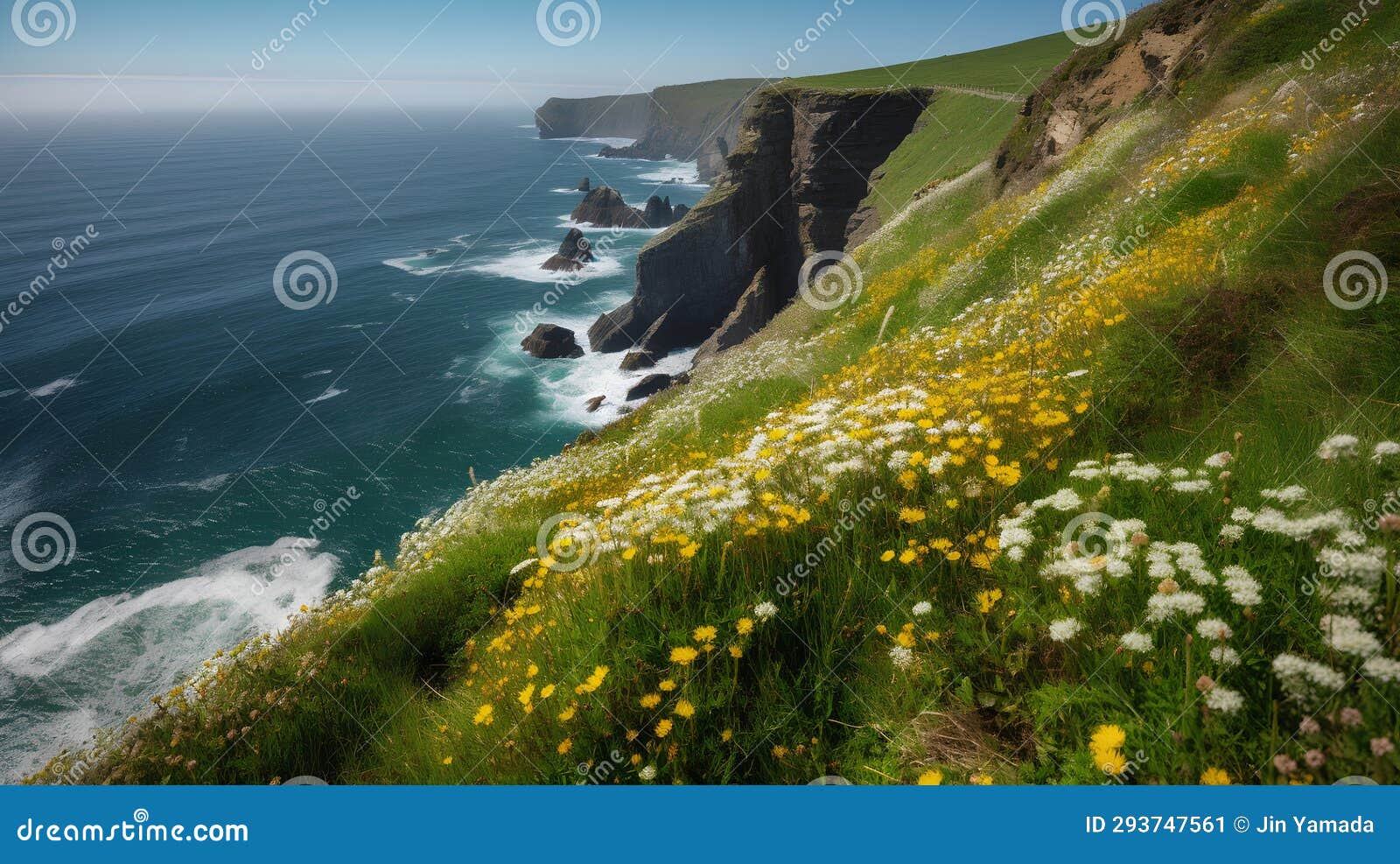 Clare Ireland Silhouette Map With Transparent Background Cartoon Vector ...