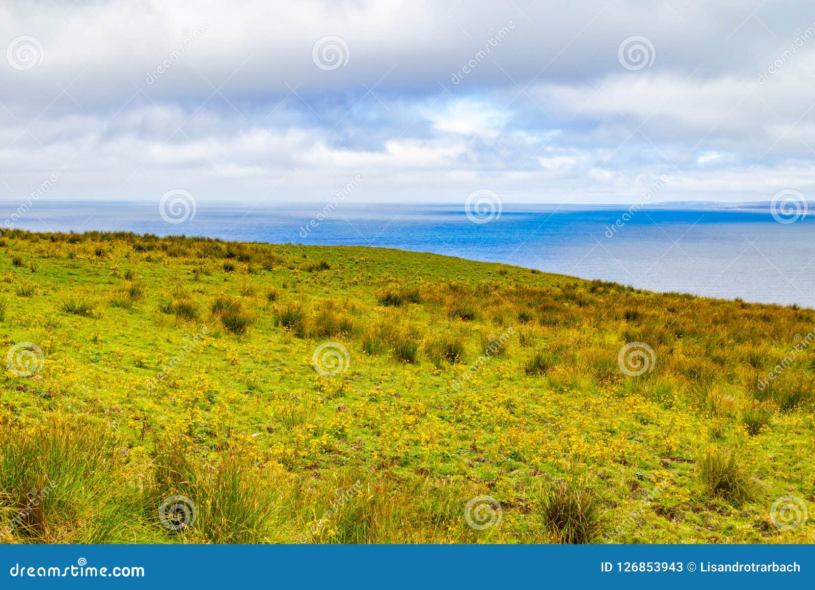 Cliffs of Moher Trail with Farm Fields and Ocean Stock Image - Image of ...