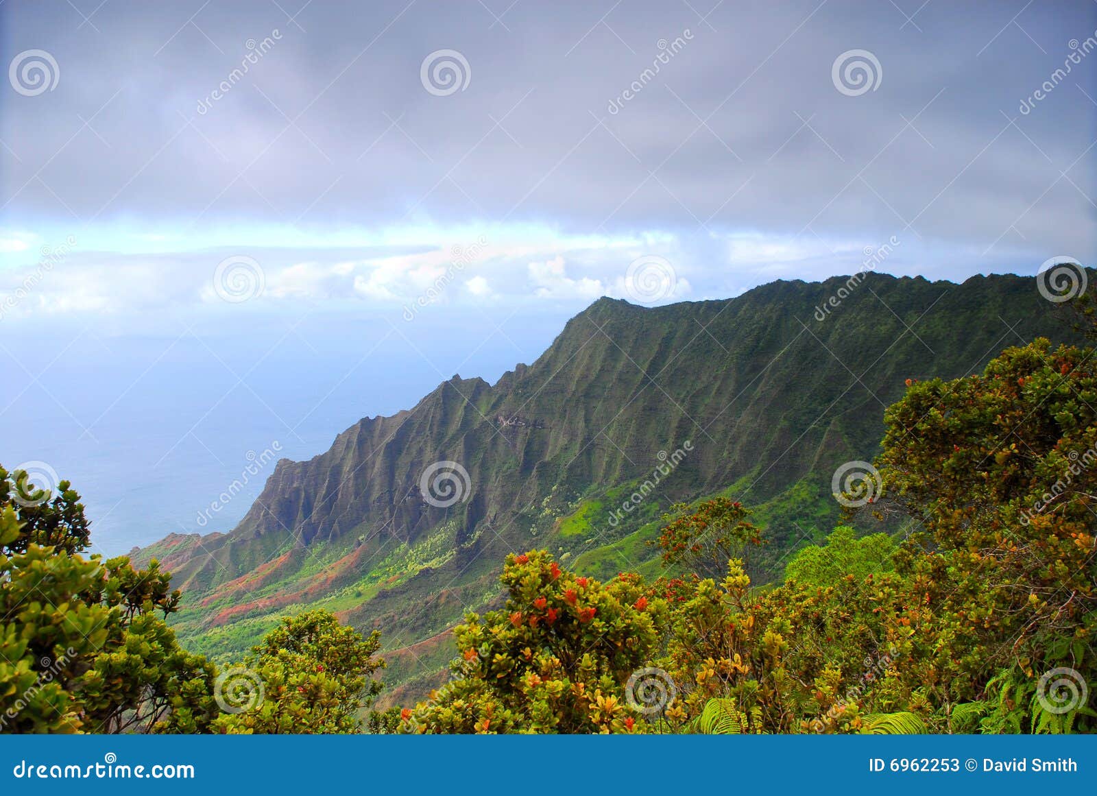 Cliffs on the Na Pali Coast Stock Image - Image of napali, kalalau: 6962253