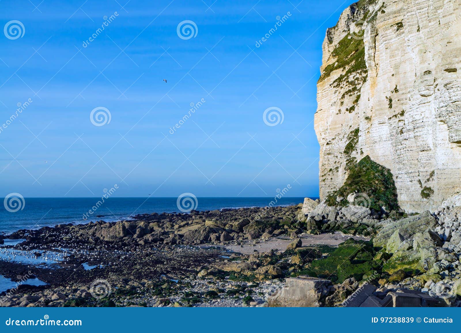Cliffs of Normandie at the Coast of the Atlantic Ocean Stock Image ...