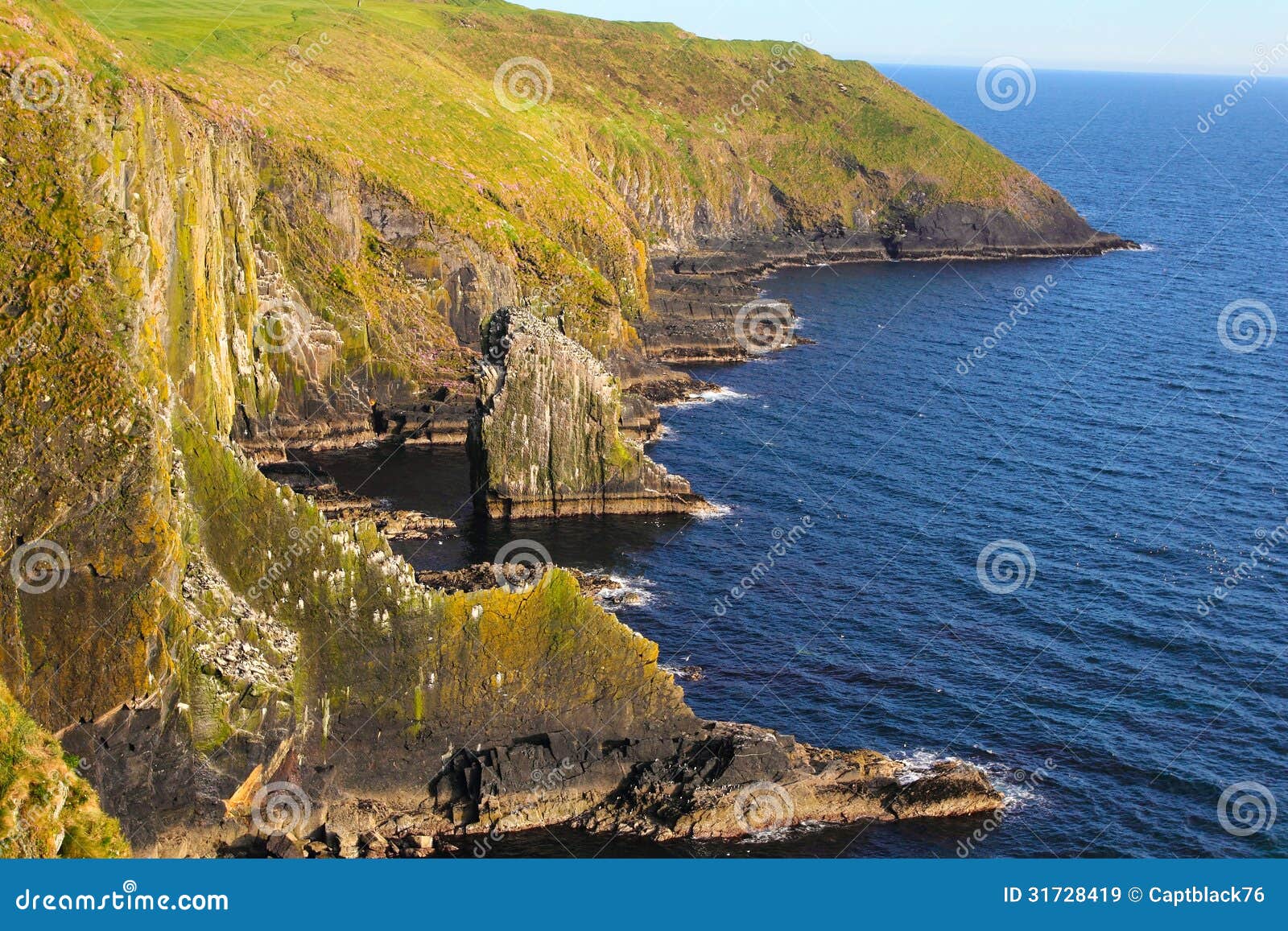 Cliffs of Old Head of Kinsale Stock Image - Image of colorful, tourism ...