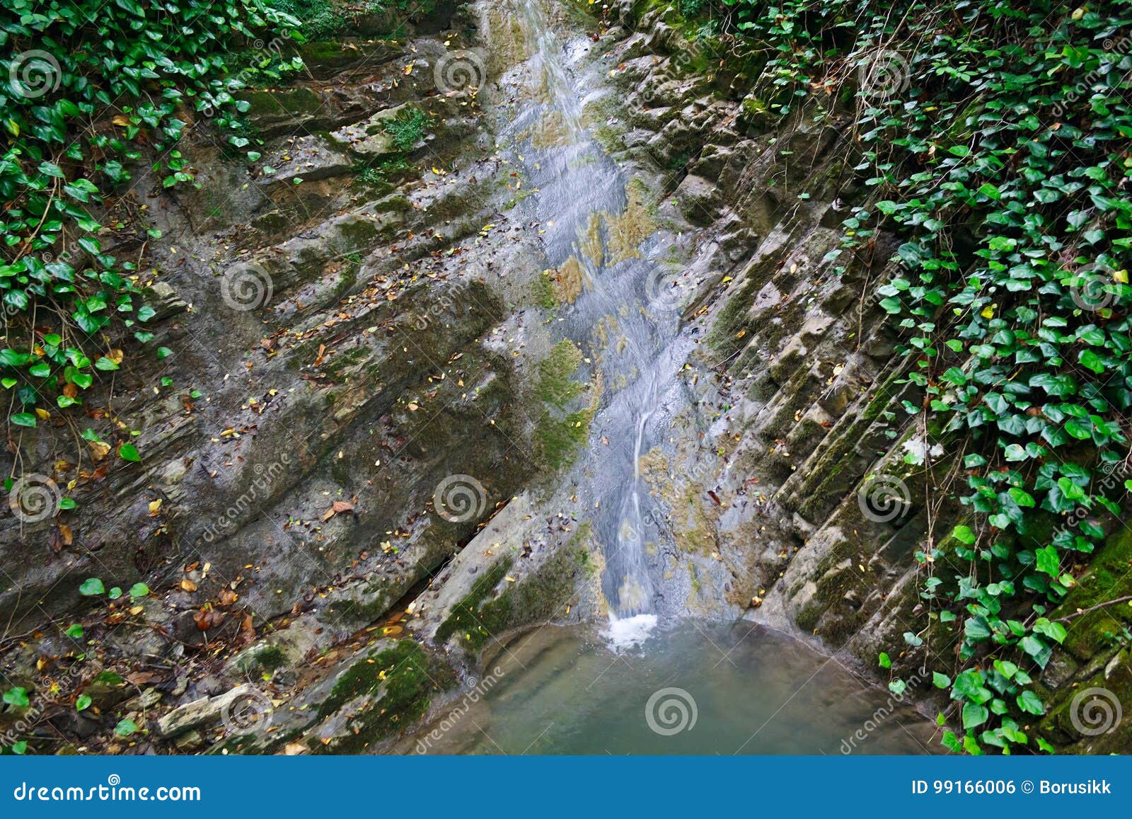 Cliffs Overgrown with Ivy and Moss with Flowing Waterfall Stock Photo ...