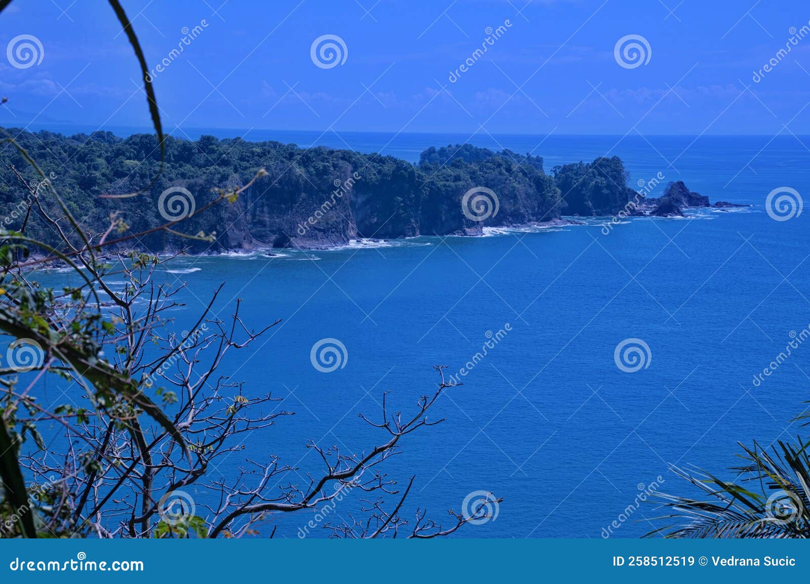 Cliffs in Pacific ocean stock image. Image of coastline - 258512519