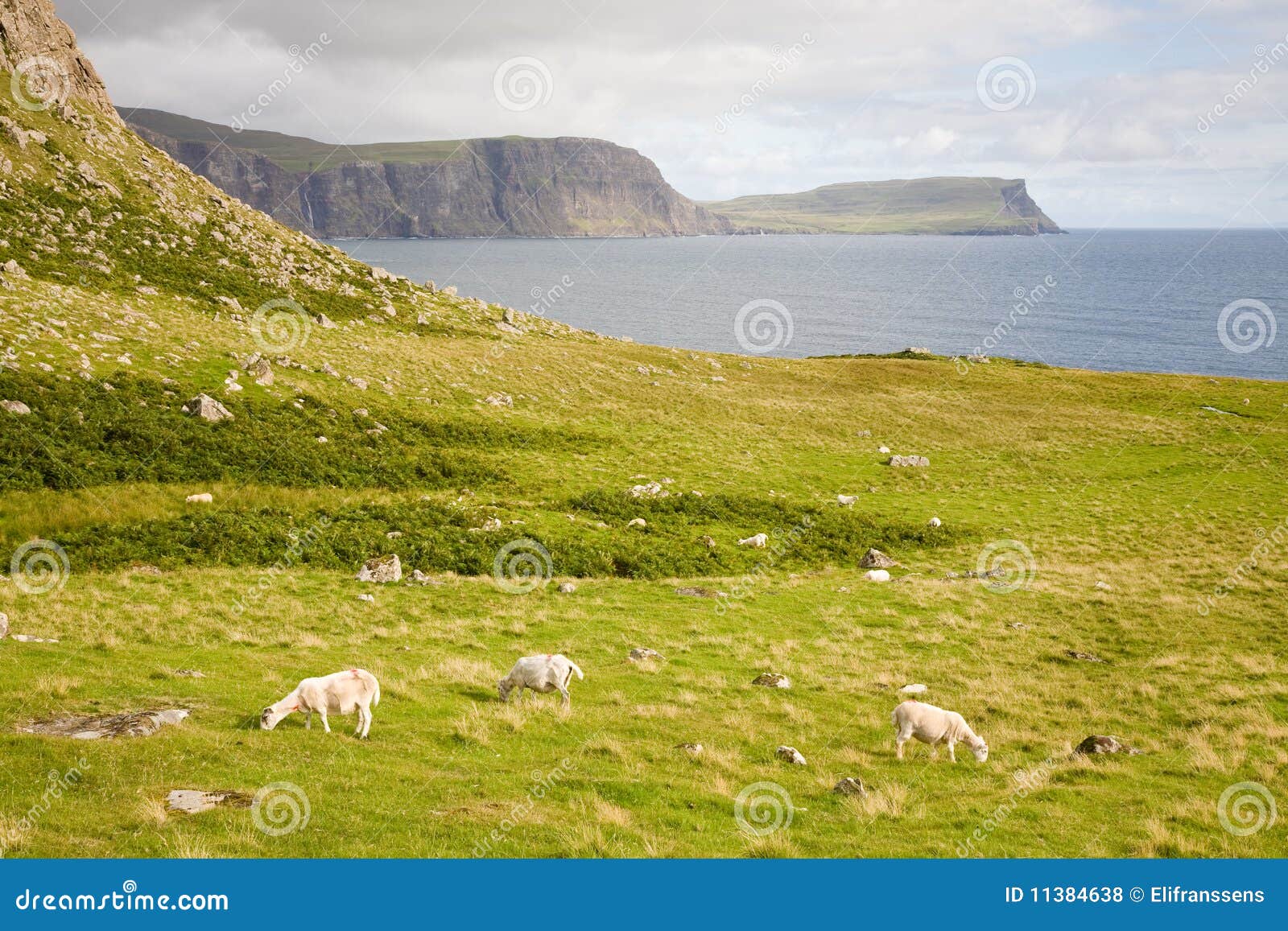 Cliffs, Scotland stock photo. Image of britain, neist - 11384638