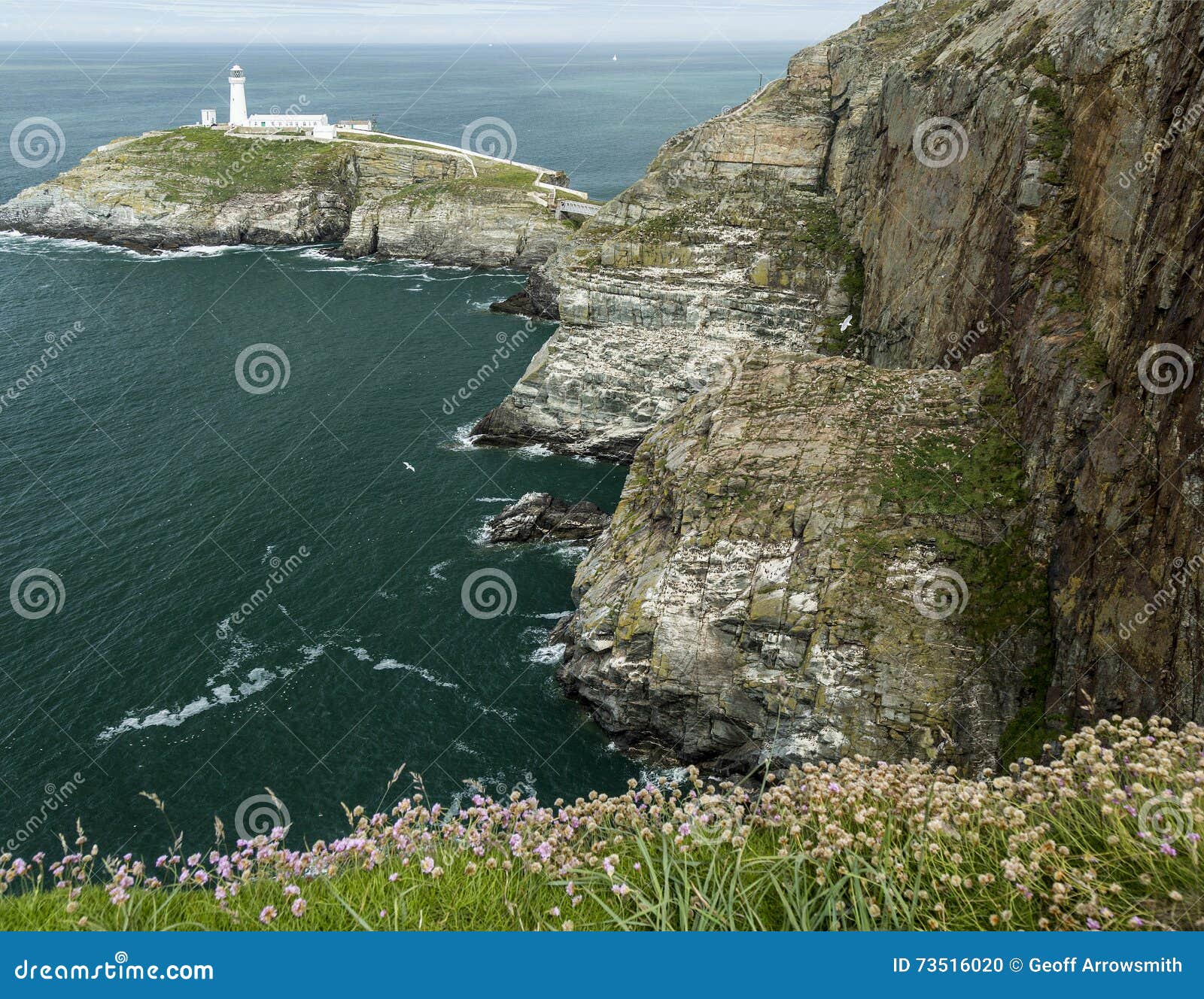 Cliffs and Sea View at South Stack on Anglesey, Wales, UK Stock Photo ...