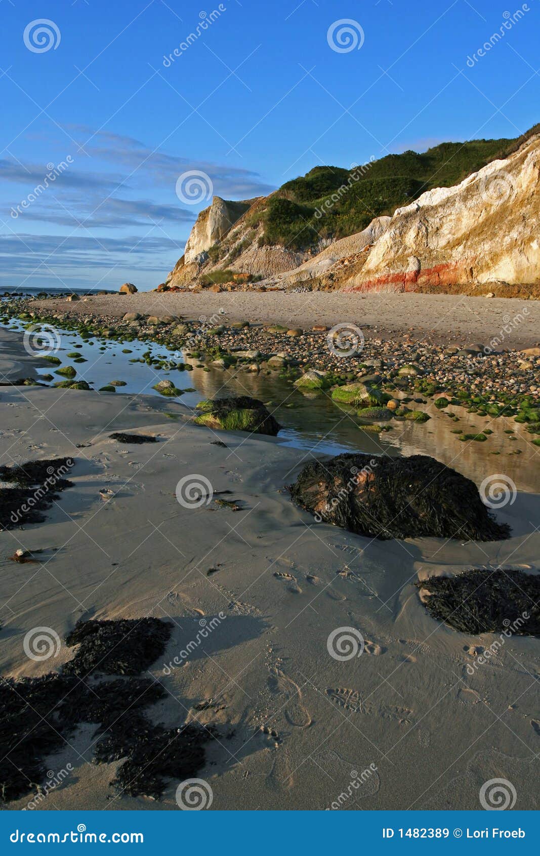 Cliffs on Seashore stock image. Image of altantic, shore - 1482389