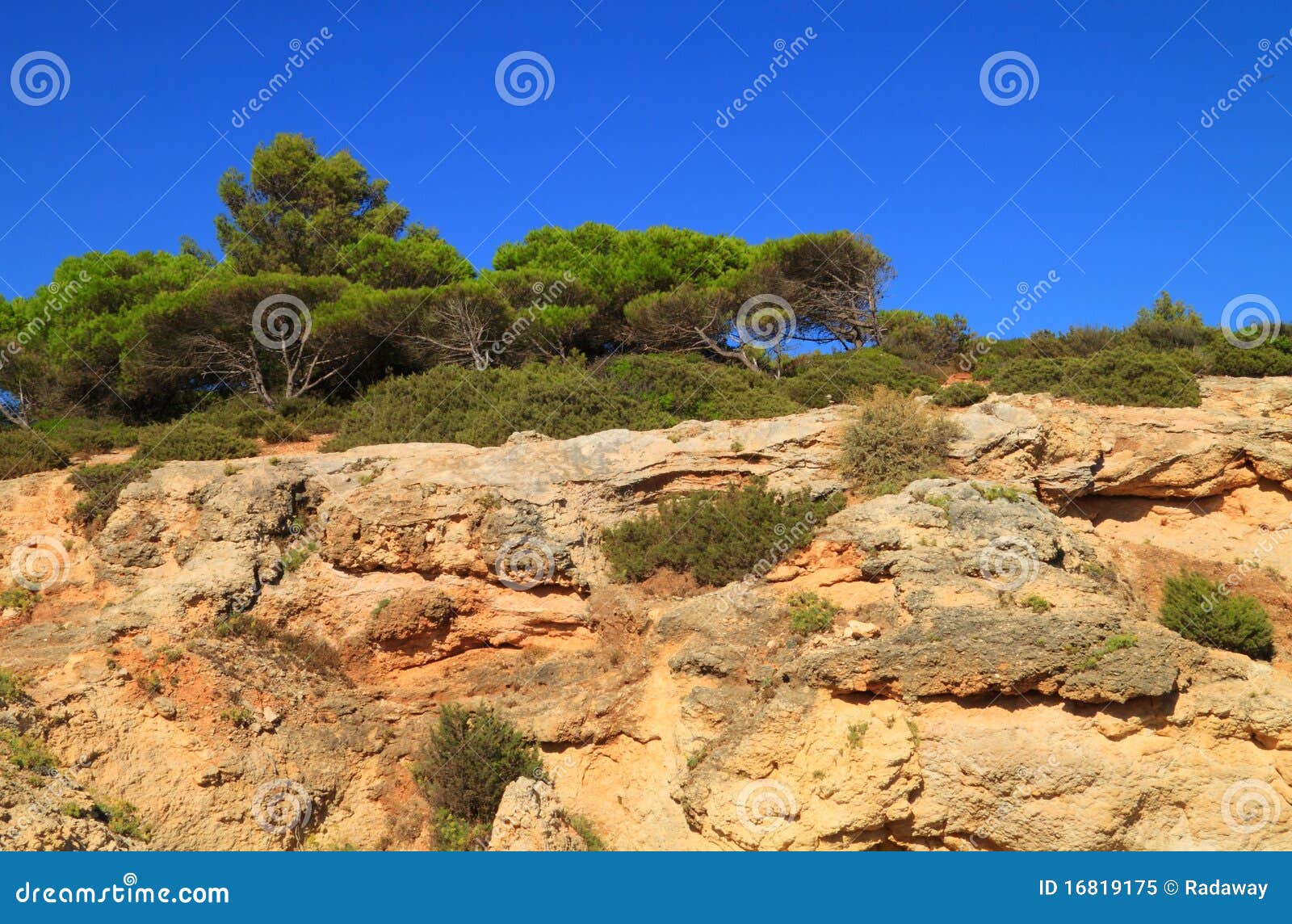 Cliffs and trees stock image. Image of trees, sunny, formations - 16819175