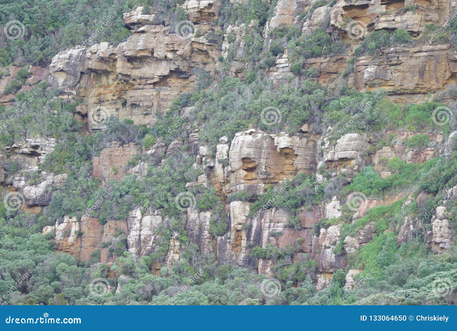 Cliffs and Trees stock photo. Image of place, hiding - 133064650