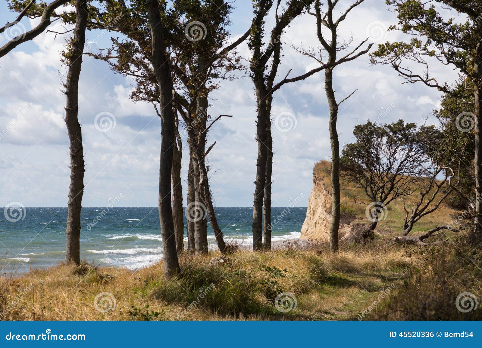 Cliffs and trees stock photo. Image of trees, clouds - 45520336