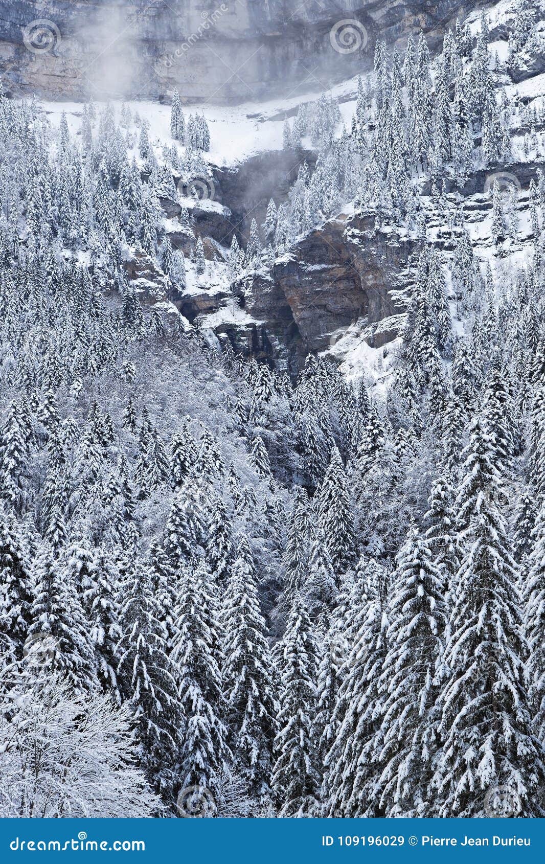 Cliffs and Trees Under the Snow Stock Image - Image of rock, snow ...