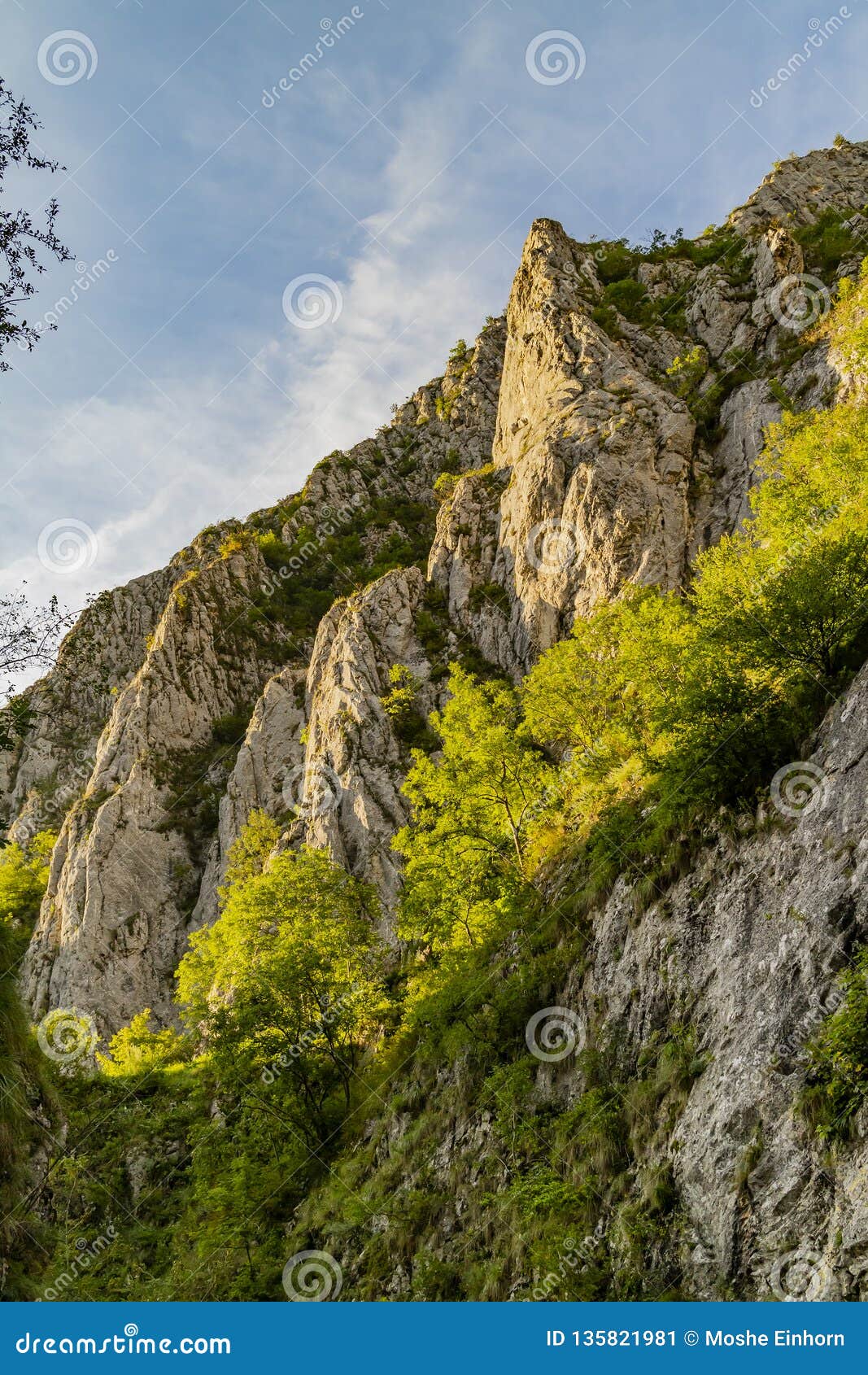 Cliffs in Turda Gorge, Romania Stock Image - Image of outdoor ...