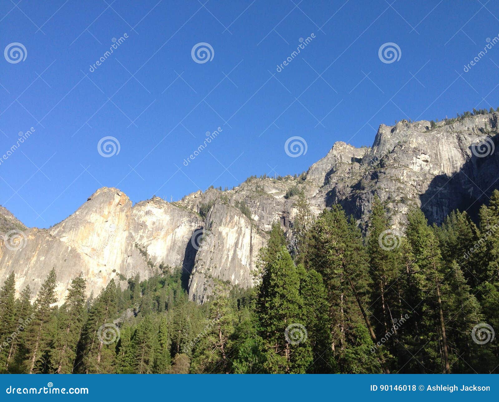 Cliffs at Yosemite National Park Stock Photo - Image of views, nature ...