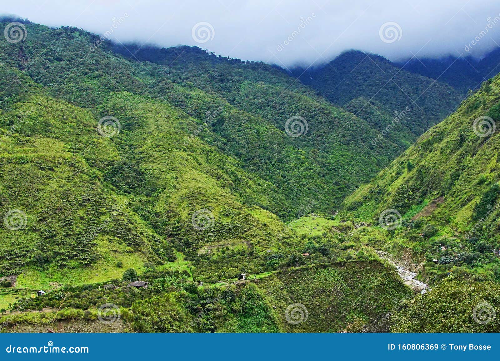 Tropical Andes Landscape Venezuela Stock Photos - Free & Royalty-Free ...