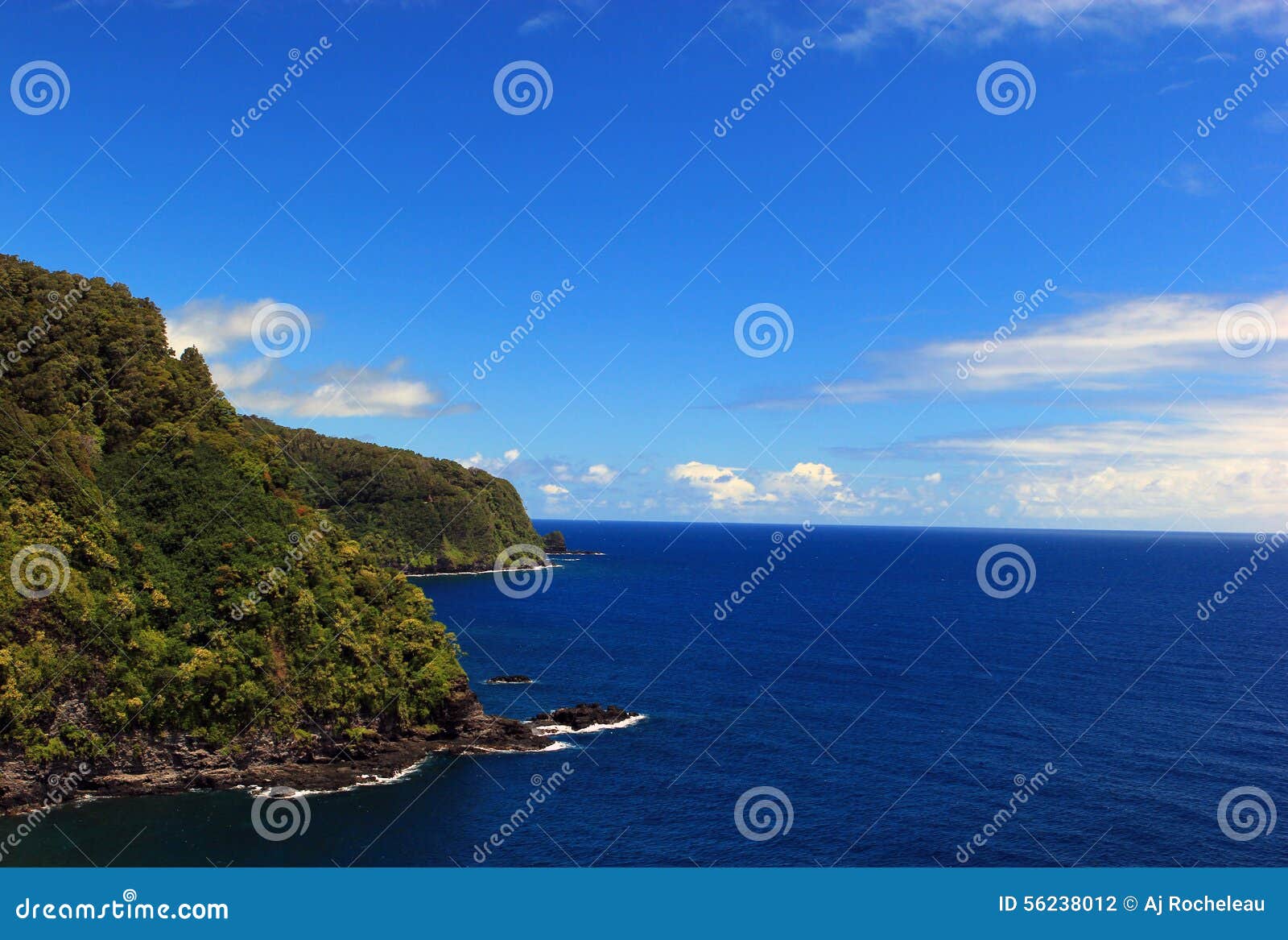Cliffside stock photo. Image of forest, cliff, ocean - 56238012
